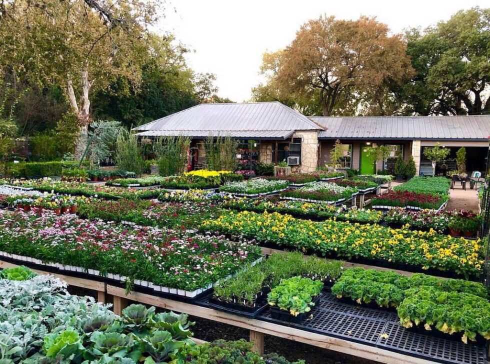 Wholesale & Retail Plant Nursery & Landscape Supplier