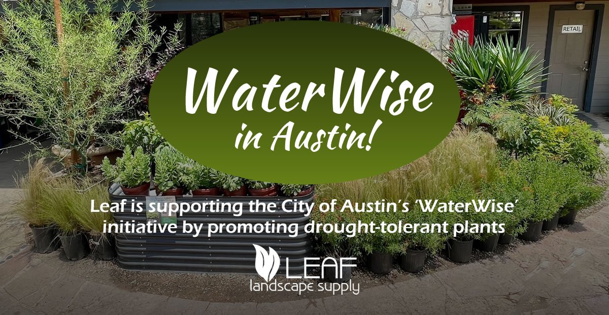 WaterWise Landscapes in Austin! – Leaf Landscape Supply